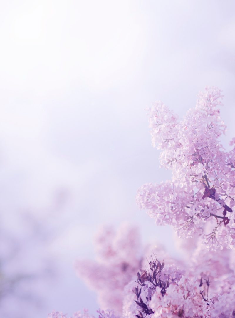 cSPACE is an arts incubator, innovative venue and coworking space for ...