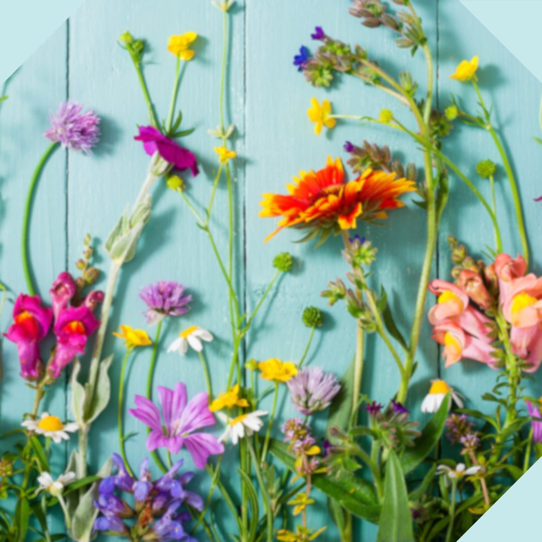 The Market - Saturday June 15 - cSPACE Marda Loop